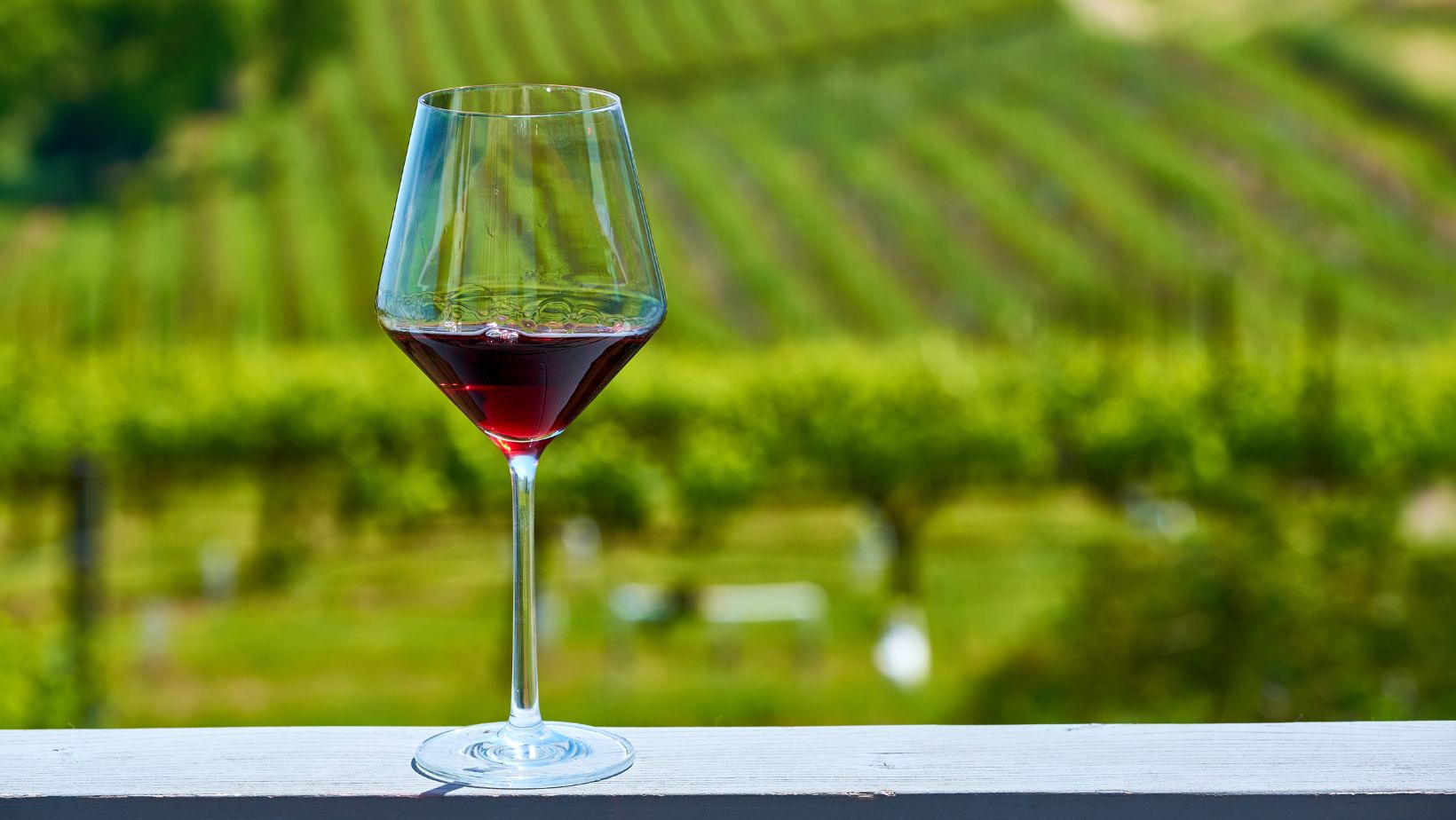 Rosso Conero | Marche travelling